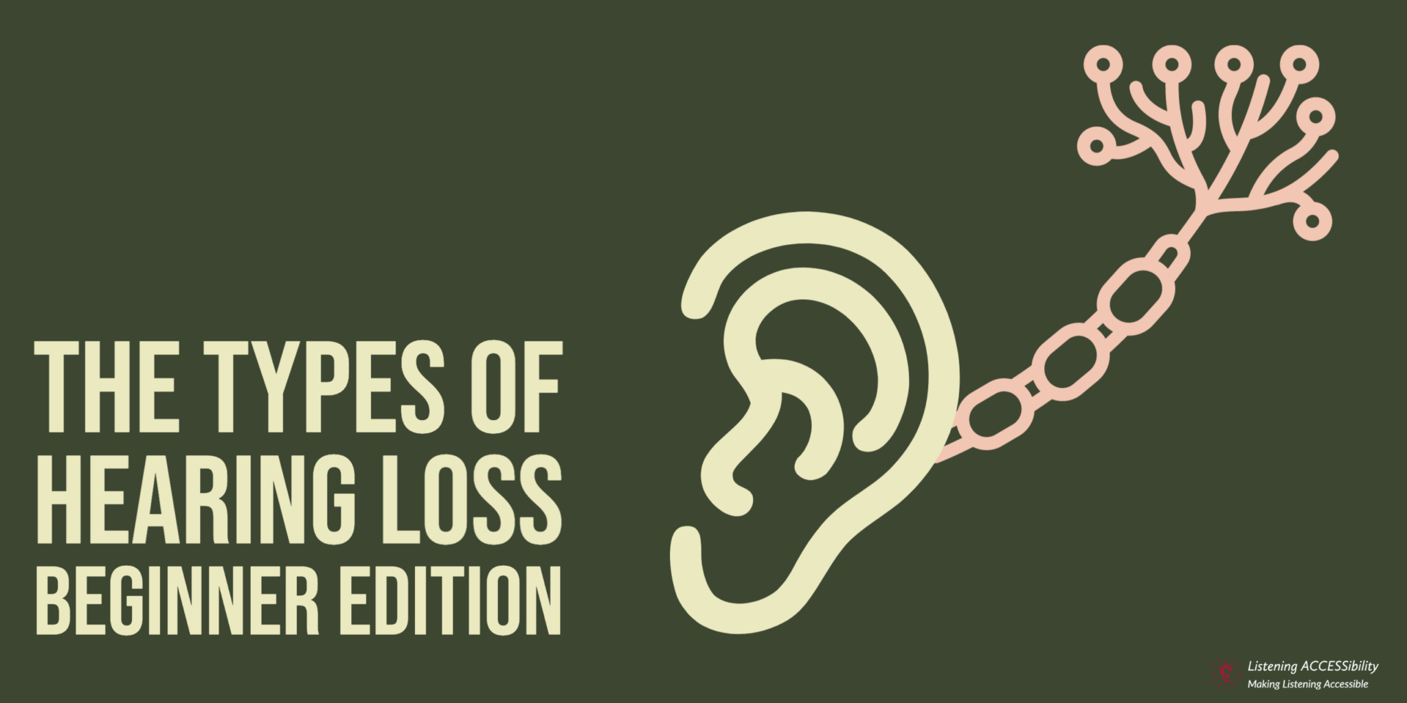 Listening ACCESSability - Hearing Loss Types for Beginners